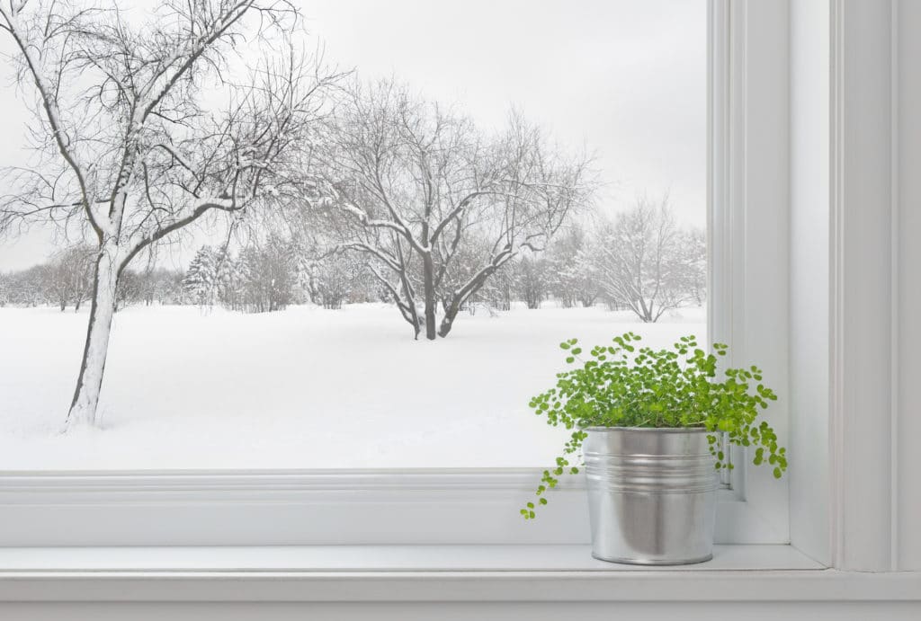 Energy-Efficient Windows for Winter Comfort