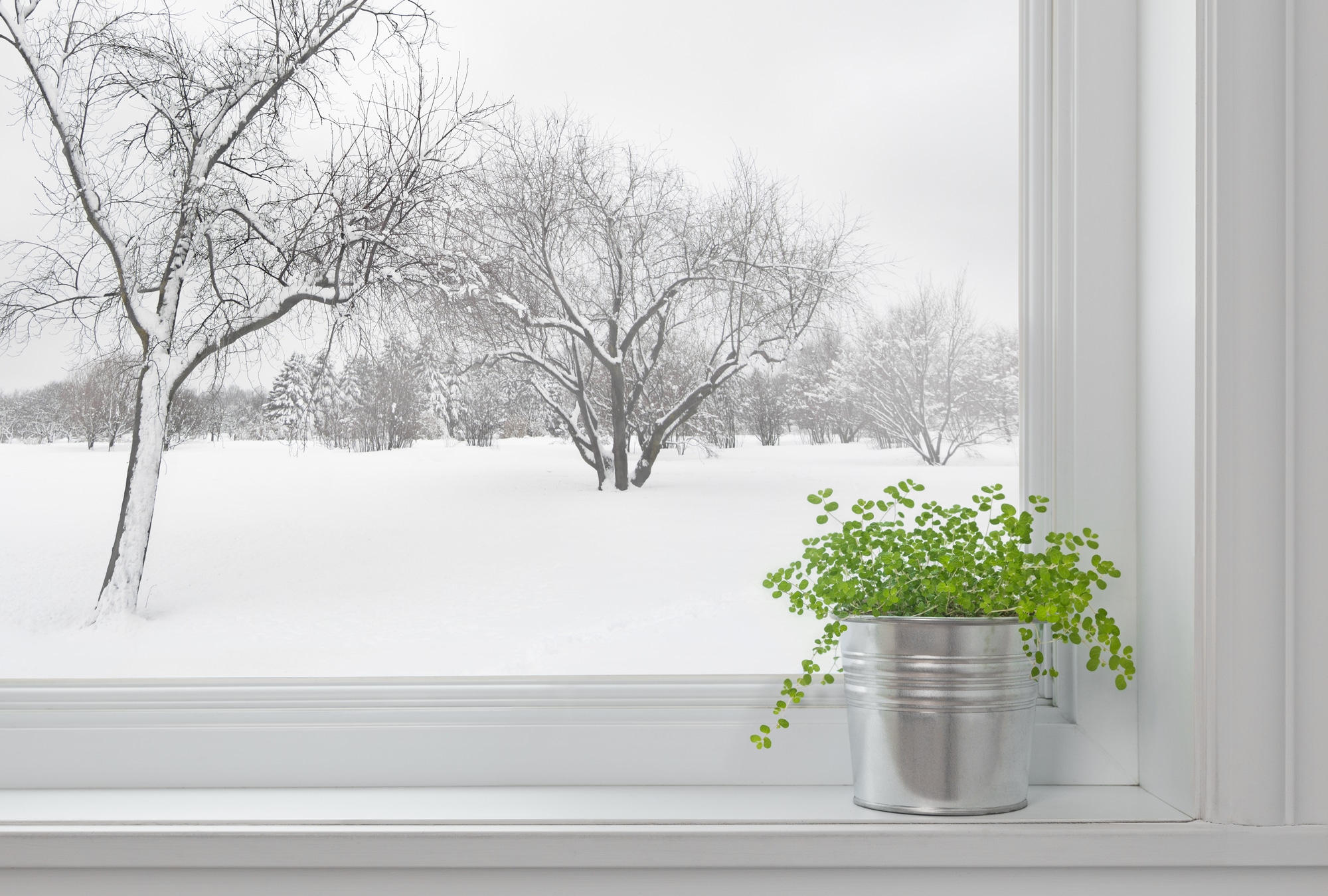 Energy-Efficient Windows for Winter Comfort